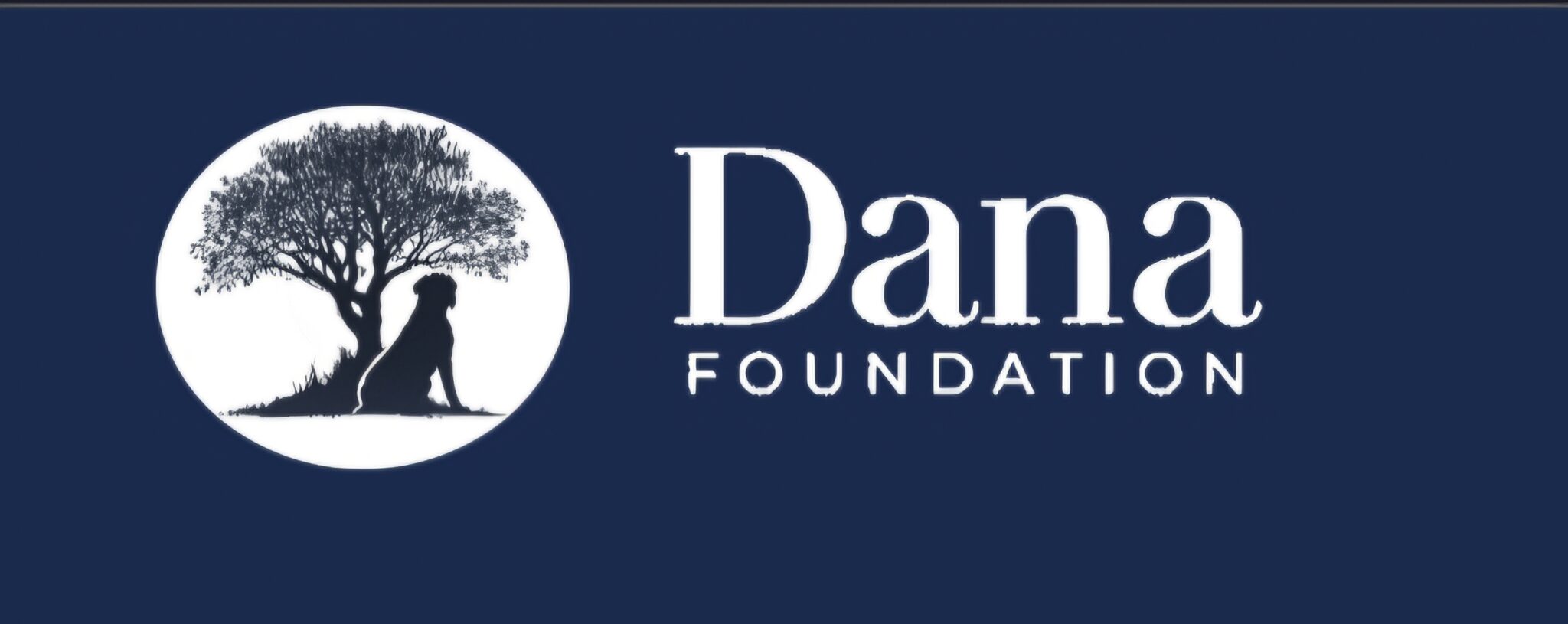 Apply Now for Dana Foundation Grants Programme 2026 (Up to $100,000 in ...